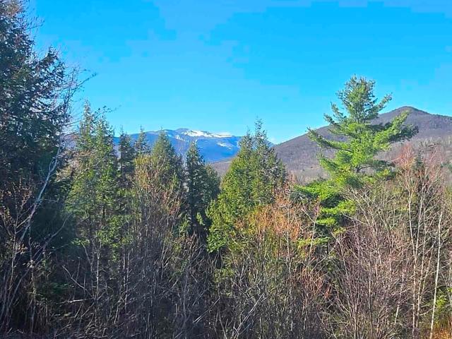 00 Green Hill Road # Lot 165 C5