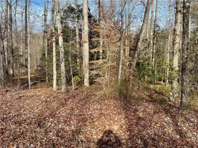 00 HAMILTON ROAD, MARIETTA, SC 29661 Farm For Sale MLS# 20275.