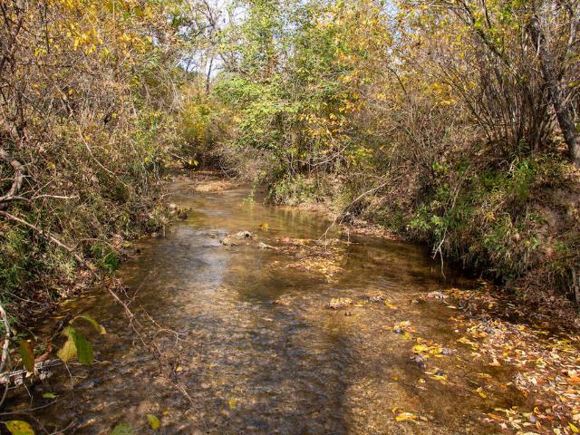 00 Hardin Reynolds Rd