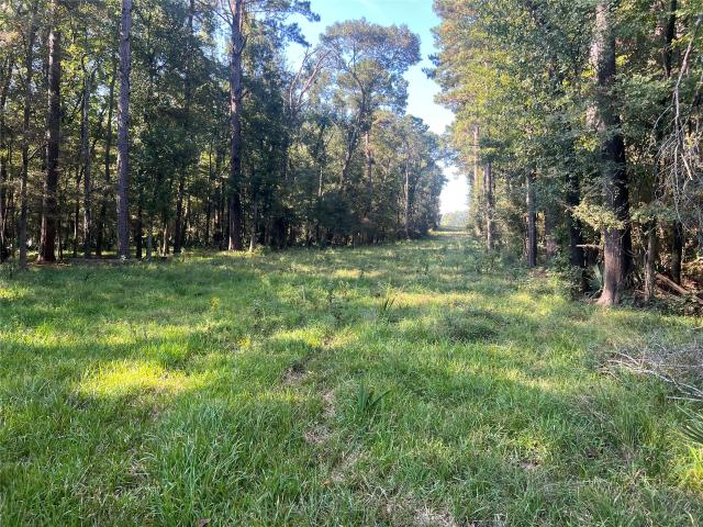 00 Hardy Bottom Road