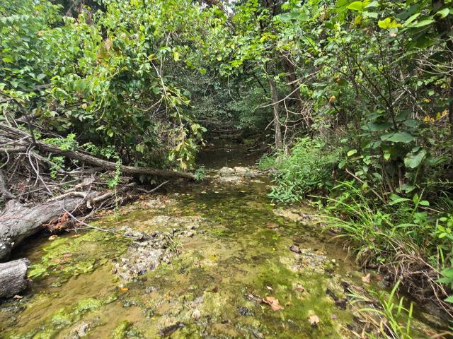 00 Hico Road