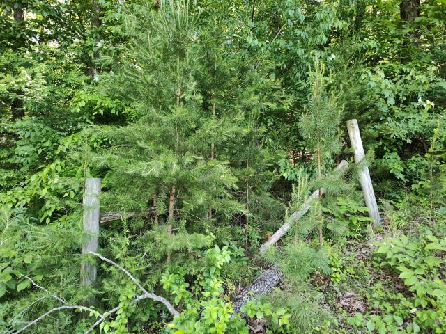 00 Hixson Road
