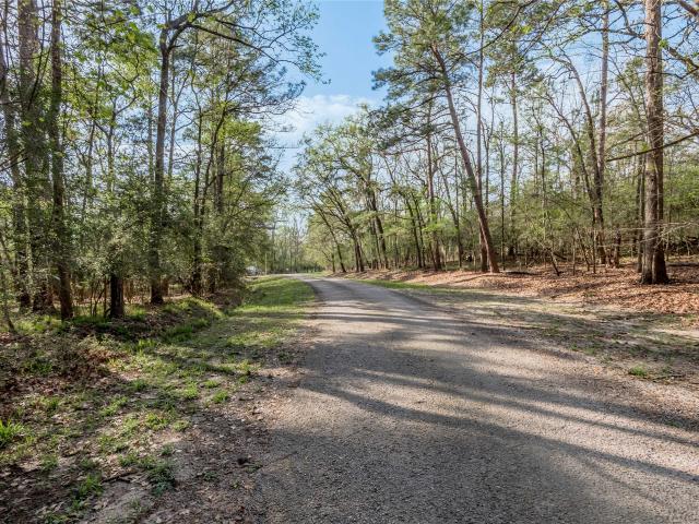 00 Holly Lane