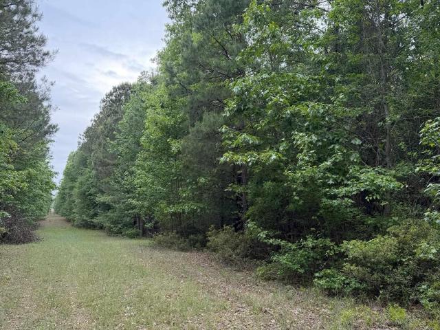 00 Hopewell Road