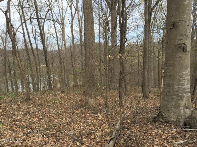 00 Horseshoe Bend Road