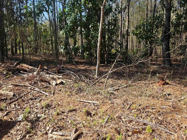 00 Hunter Mill Road