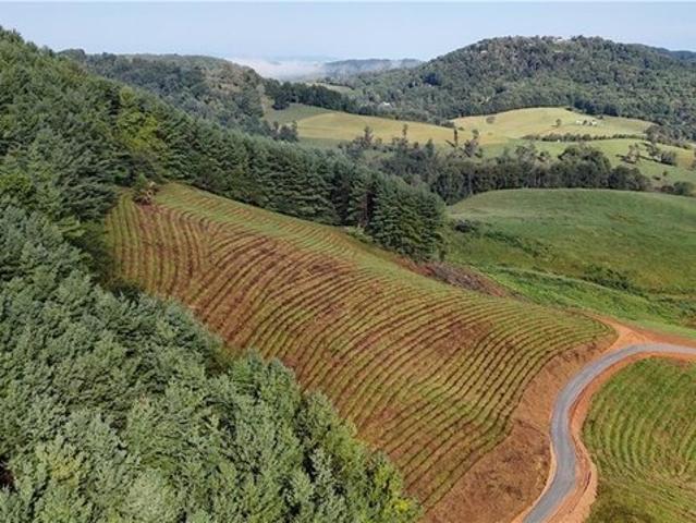 00 Irwin Grocery Rd Lot 101, Laurel Springs, NC 28644