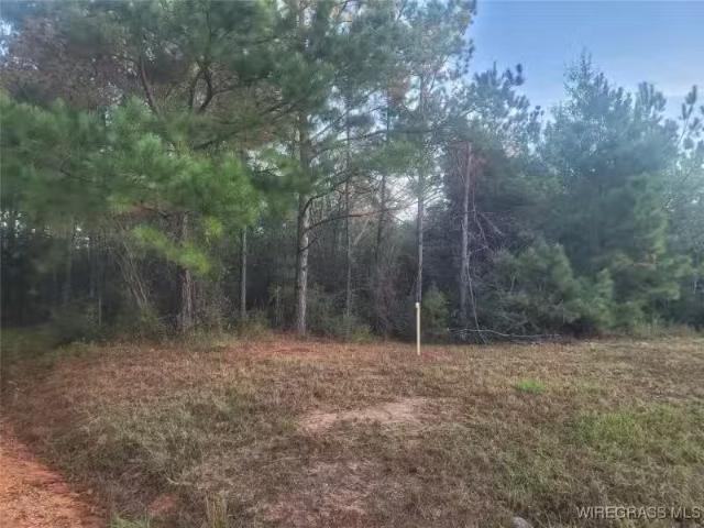 00 J P HOWARD ROAD, EVERGREEN, AL 36401