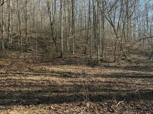 00 Jackson Ridge Rd