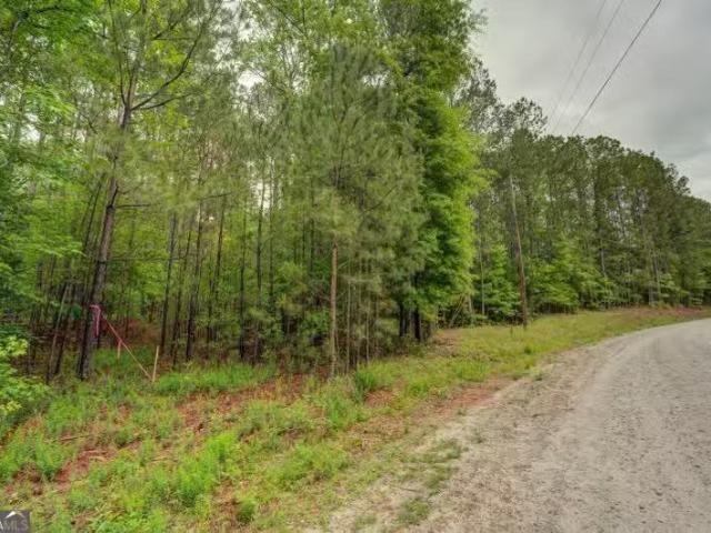 00 Jeffries Road Tract B 33 11, Shady Dale, GA 31085 MLS 102.
