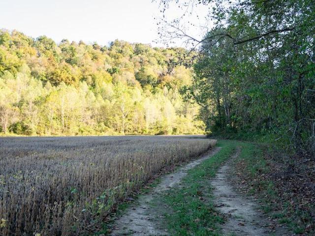 00 Kentucky 344