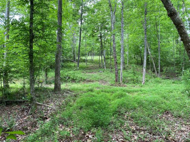 00 Kiser Road
