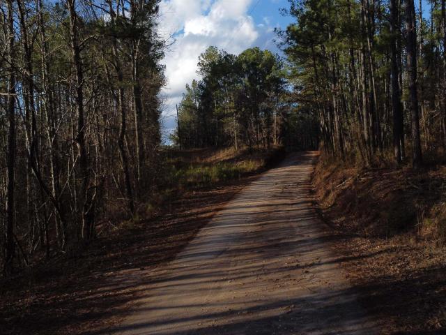 00 Lane Branch Road # 00