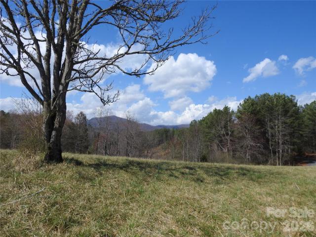 00 Laurel Lakes Parkway # Lot 1
