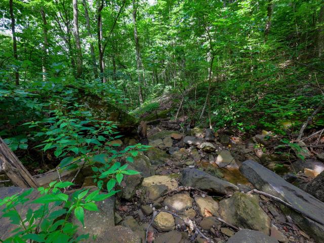 00 Lee Station Mountain Road 90