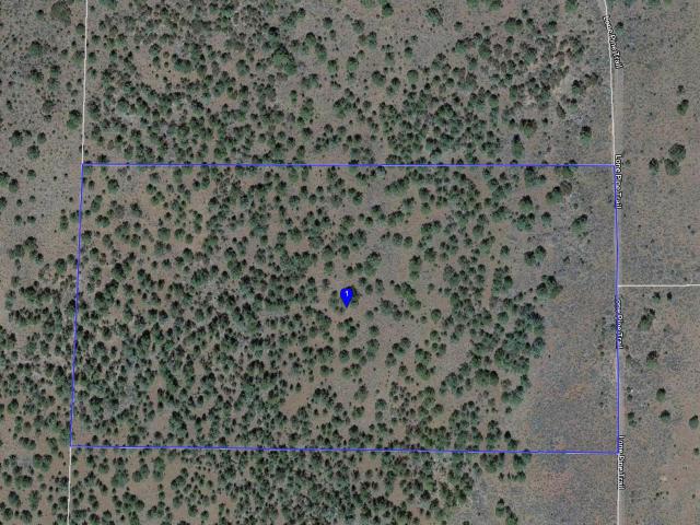 00 Lone Pine Trail
