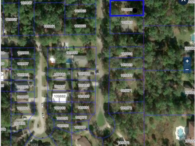 00 Longleaf Drive