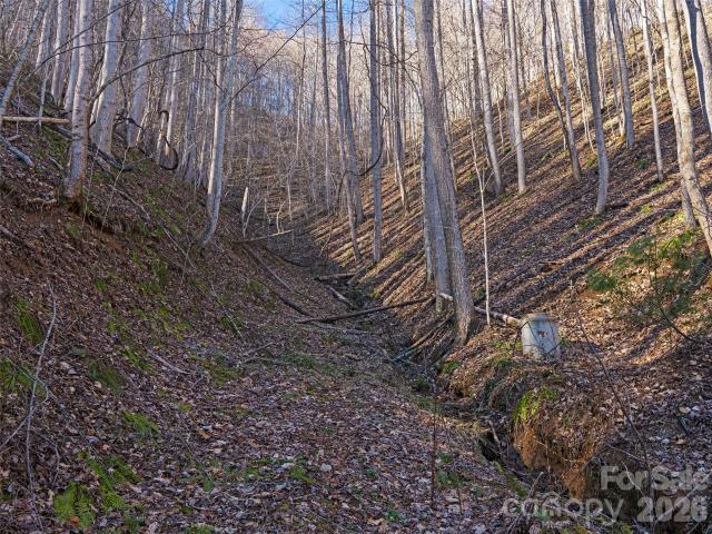 00 Lotties Creek Road