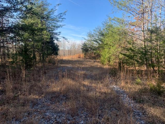 00 Lot 210 Horseshoe Drive