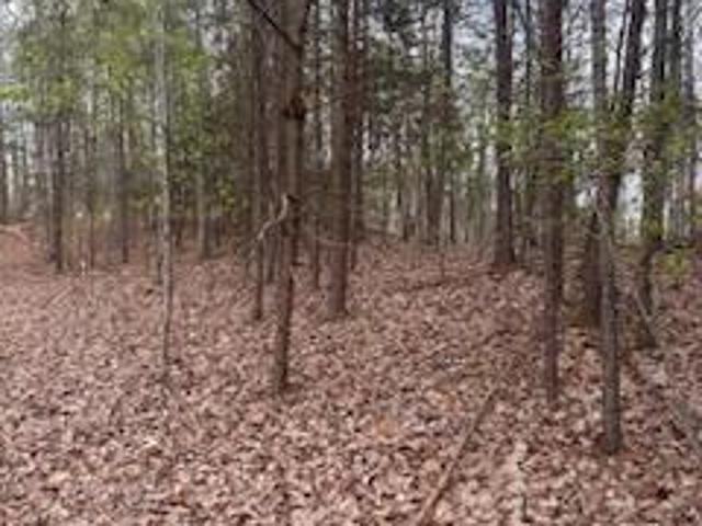 00 Mcdowell Hollow Road