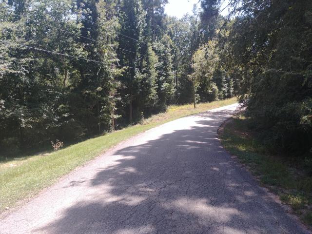 00 Magnolia Lane