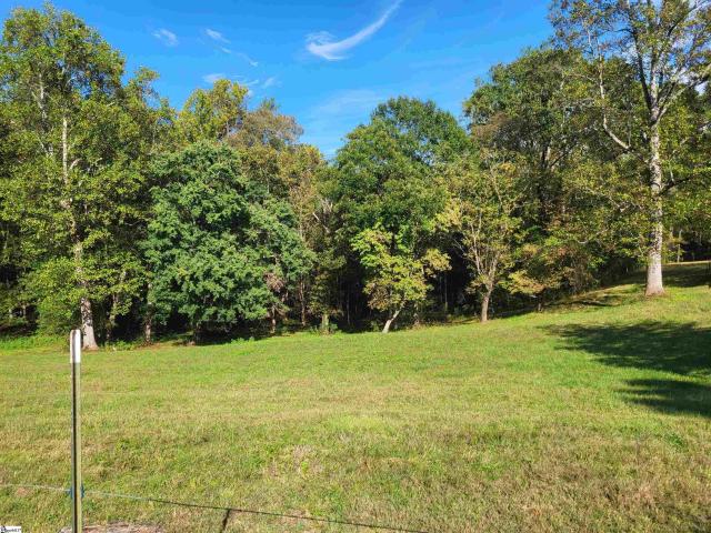 00 Meadow Fork Road