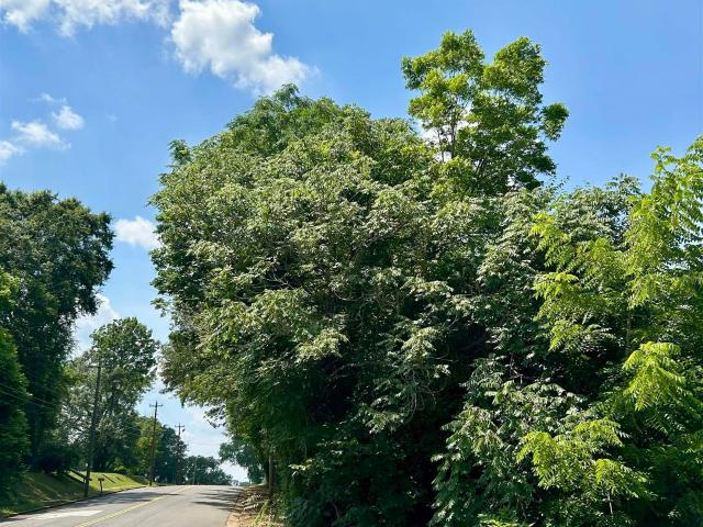 00 Meadow Street # Lot 2 & 2A
