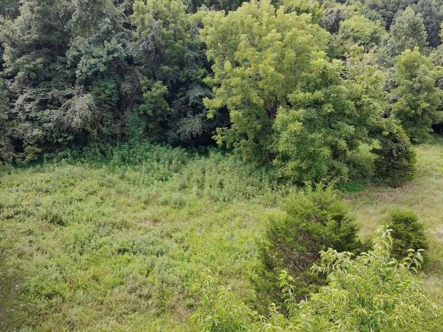 00 Mulberry Gap Rd