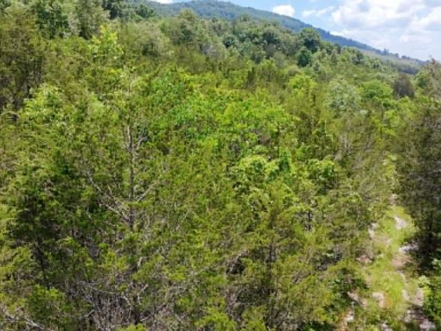00 Mulberry Gap Rd