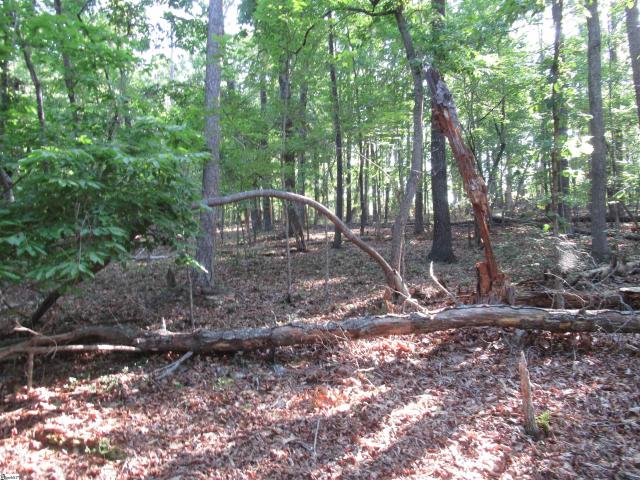 00 Murphy Road