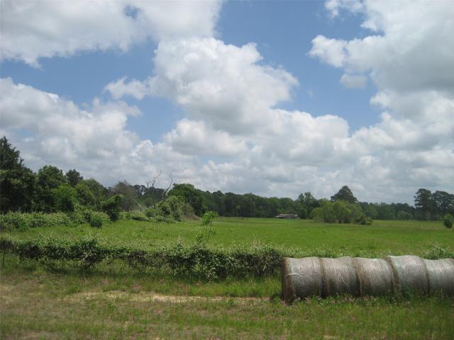 00 N Fm 2022