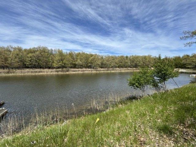 00 N Island View Dr, Pigeon, MI 48755