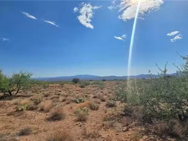 00 N TYREE ROAD, HACKBERRY, AZ 86411