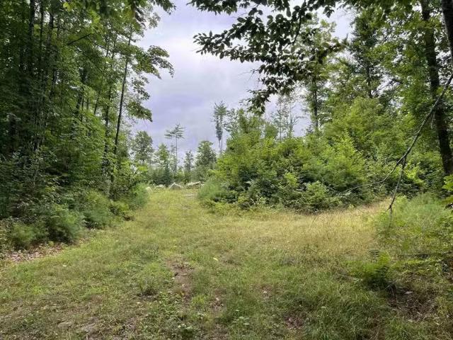 00 Nelson Hill Road N. Sutton, NH 03221 655037688