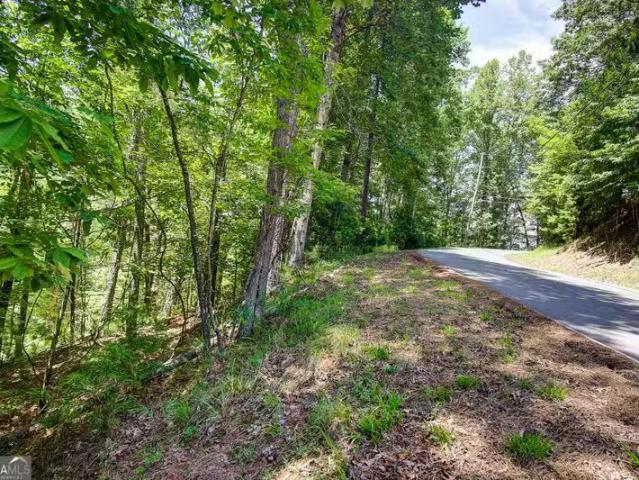 00 NEWPORT DRIVE, ELLIJAY, GA 30540 Single Family Residence Fo.