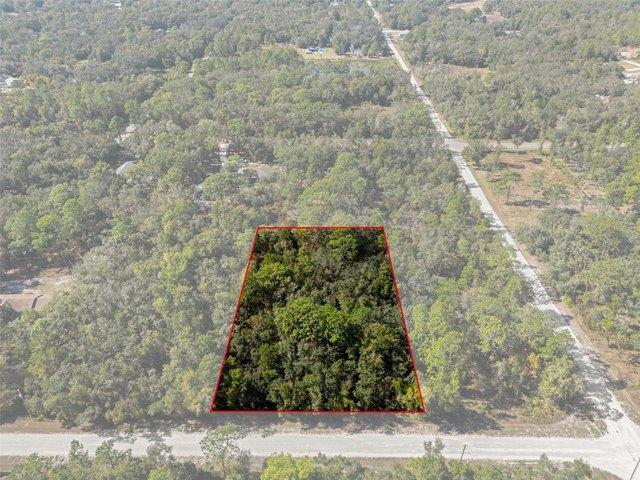 00 Norway St, Webster, FL 33597