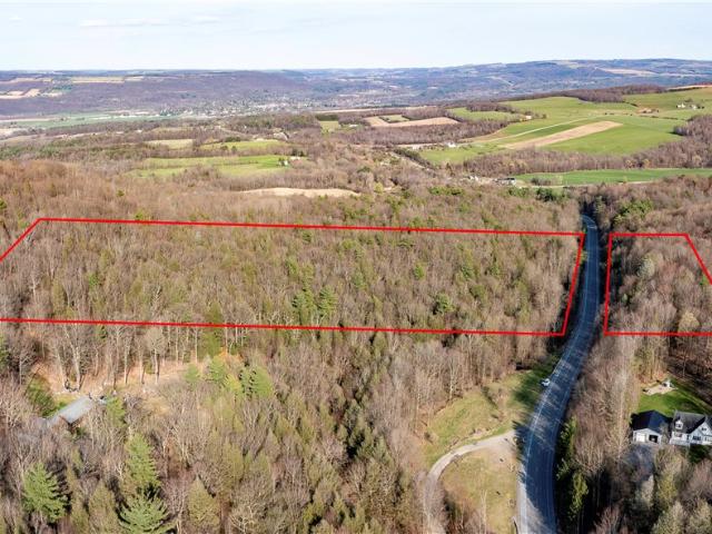 00 Nunda Dansville Road