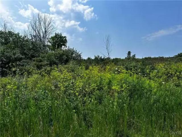 00 NYS RTE 12E, DEXTER, NY 13634 Vacant Land For Sale MLS# S1.