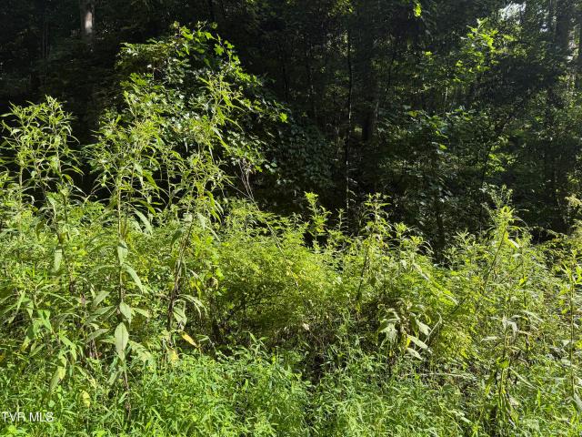 00 Of Williams Lane