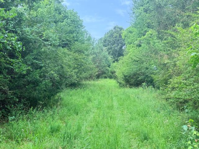 00 Old Cherokee Trail