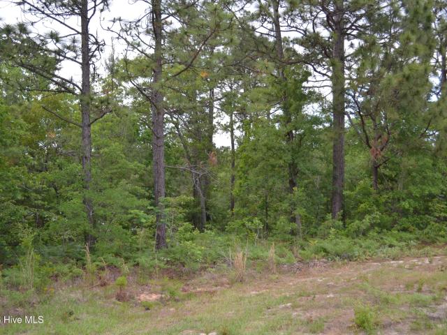 00 Old Barnwell Road
