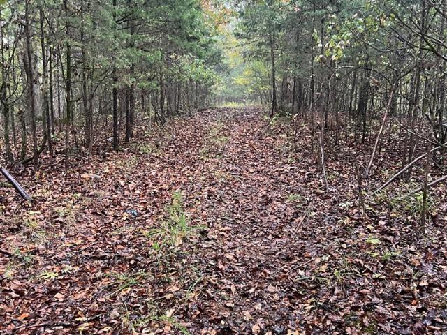00 Old Hwy 42 S