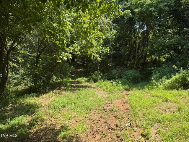 00 Old Mine Road