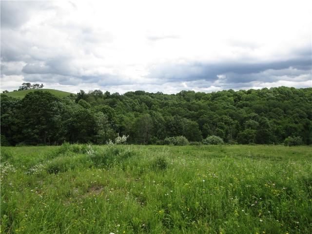00 oneida valley road