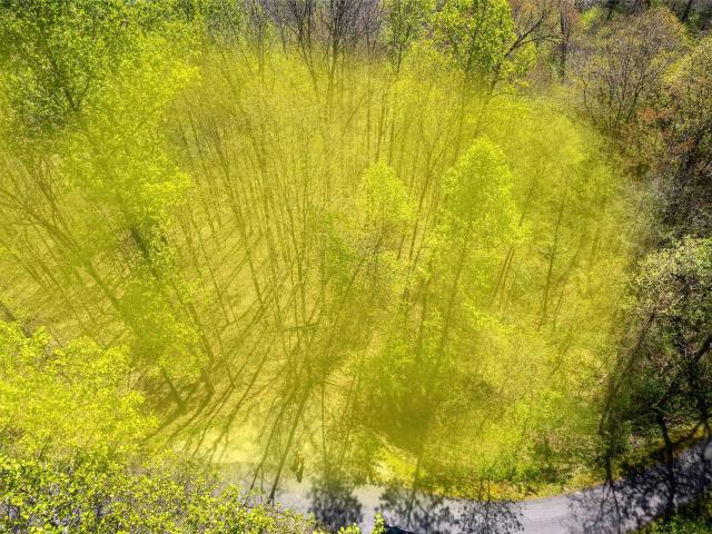 00 Pepperbush Lane