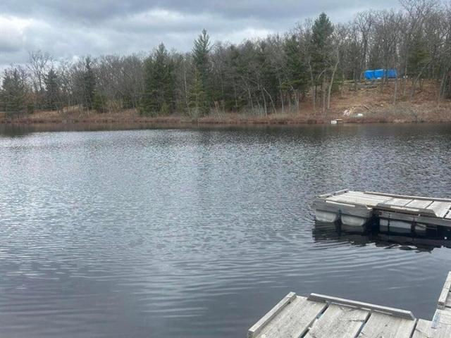00 Perch Lake Drive