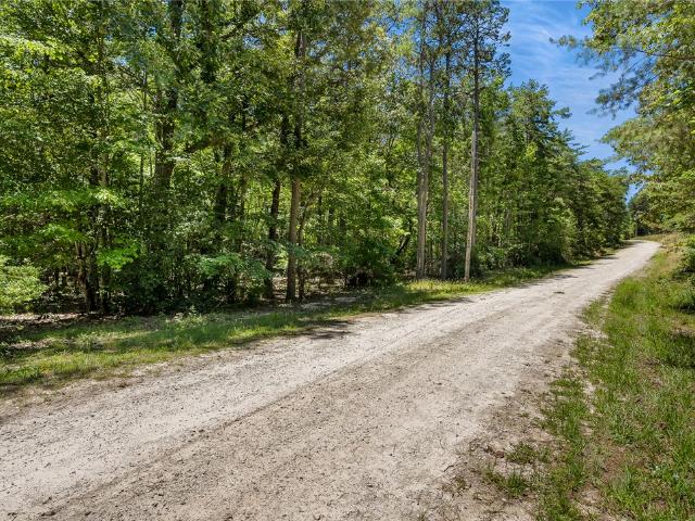 00 Pine Mountain Road