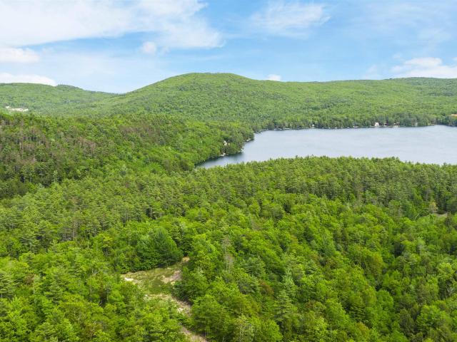 00 Pine Point Road
