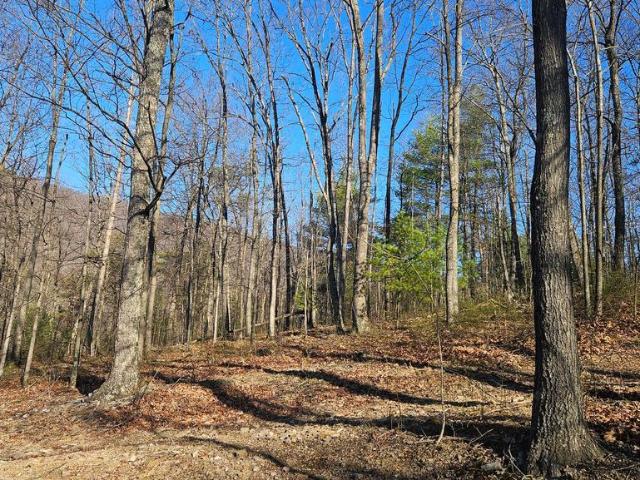 00 Piney Creek Road