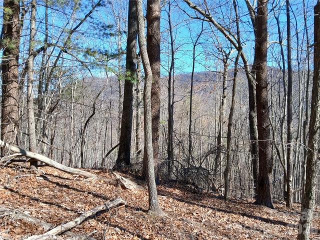 00 Piney Gate Road # 39